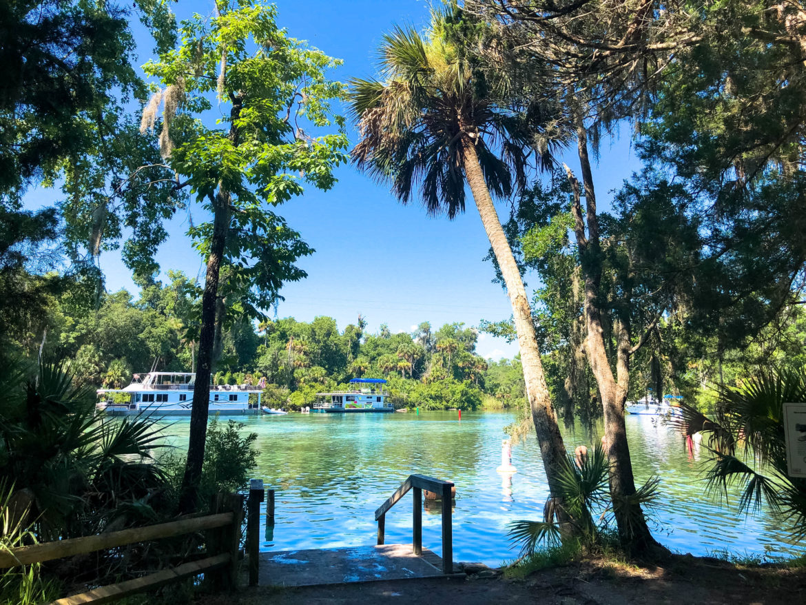 Top Things to do in Ocala and Martin County, Florida - Triphackr