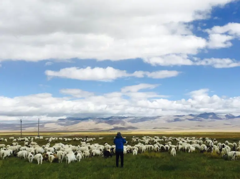 Top Four Peaks for Photography in Tibet - Triphackr